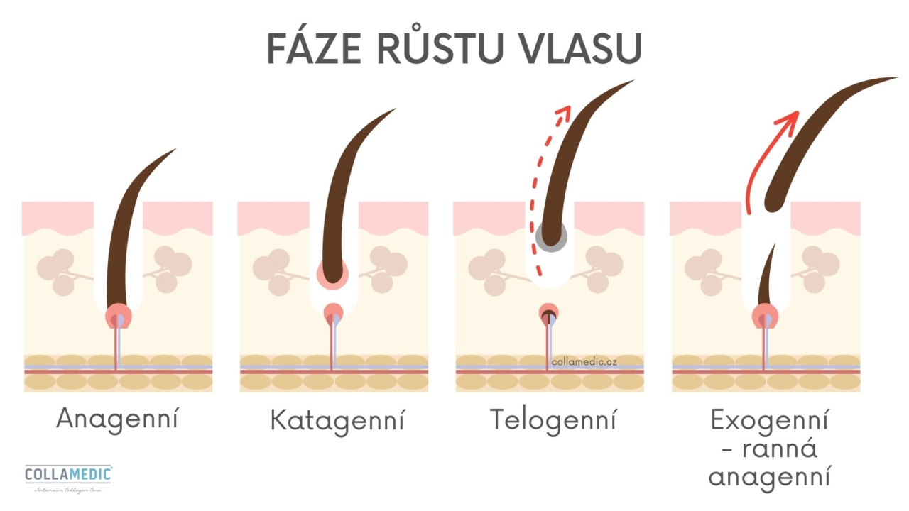 Nejlepší vitamíny na vlasy – KeranatTM | Collamedic