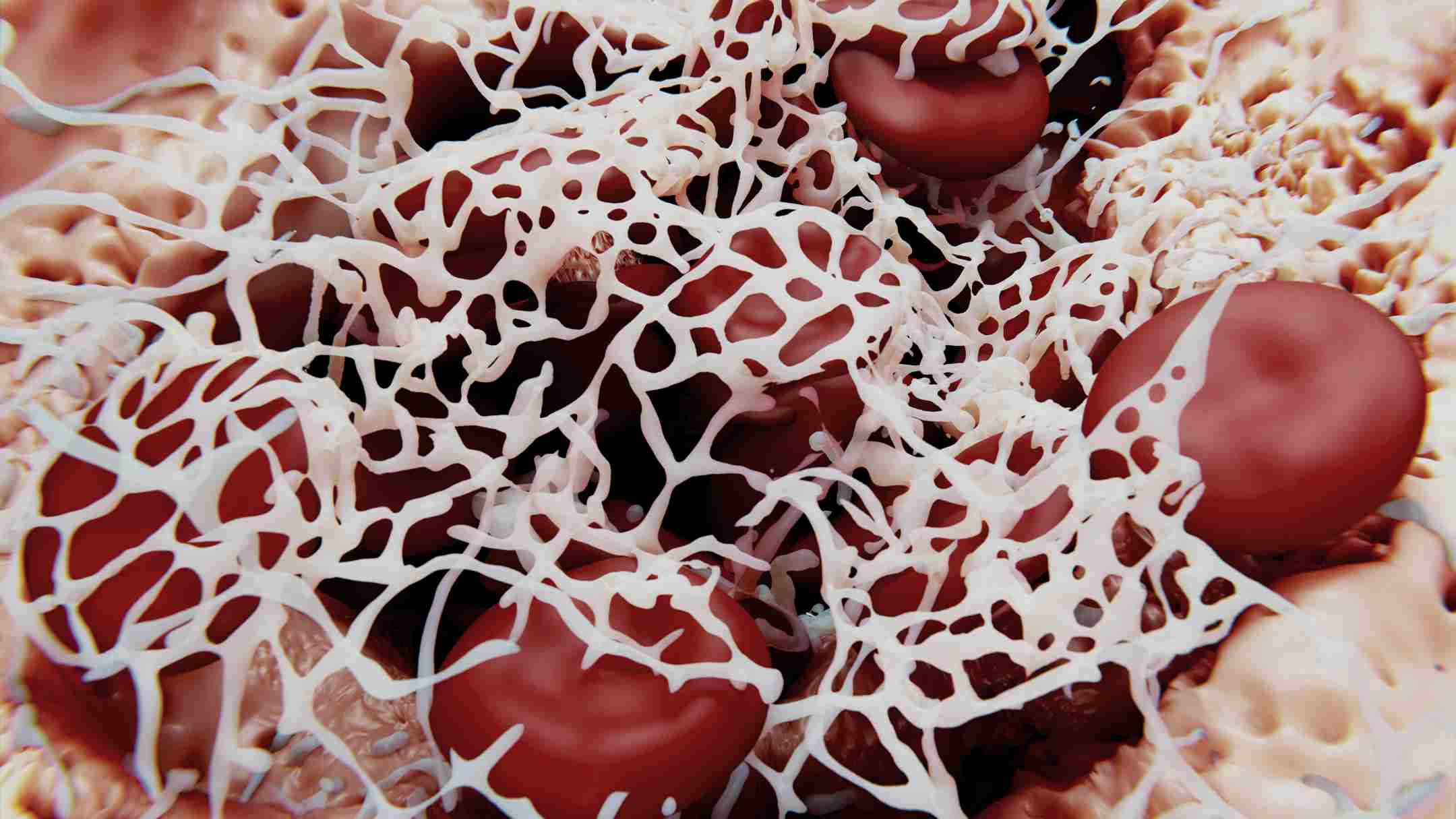 Kolagen a Fibrin: 🧬Jak pomáhají v boji proti vráskám?